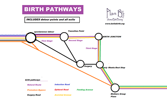 birth pathways – The Birth Map