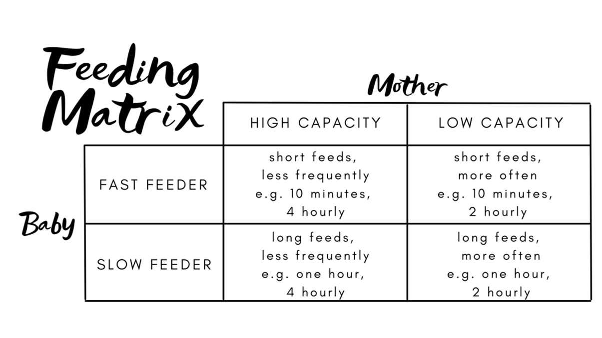 FeedingMatrix – The Birth Map